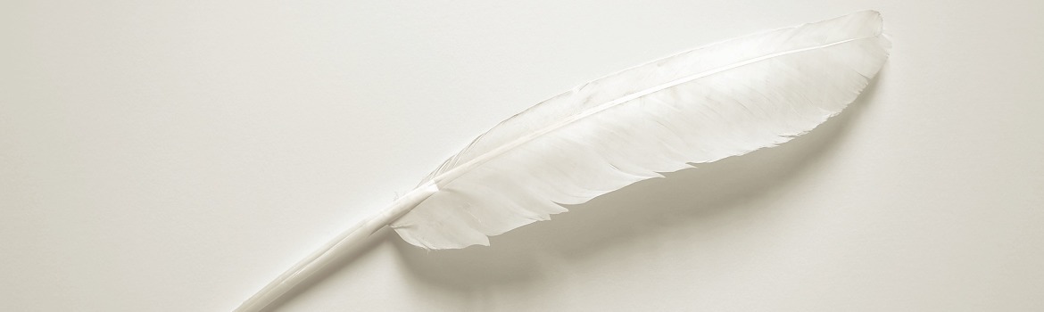 Shop Online & Raise Money For The White Feather Foundation - Give as ...